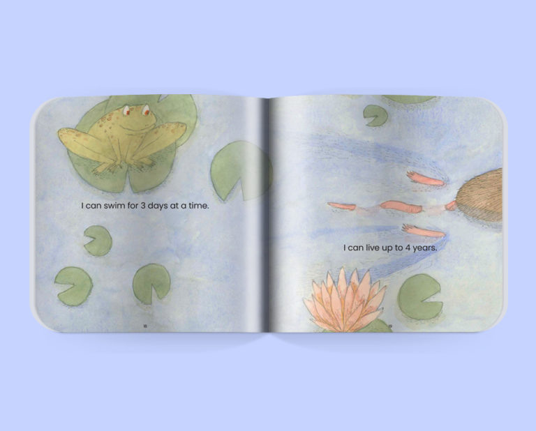 Heggerty Library Decodable Books—Frog Set (Grade 1) | Heggerty